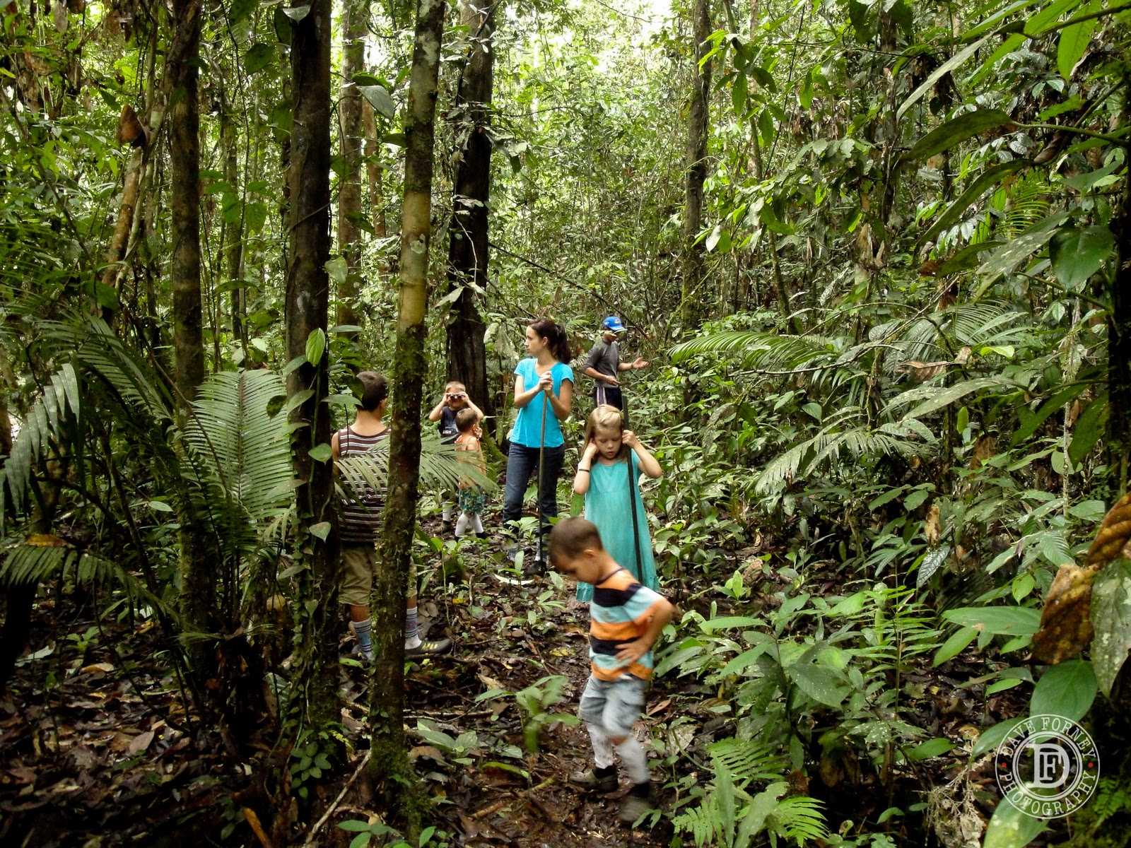 The Forney Flyer: Family Trip to Lalut Birai (Part 2 of 3)