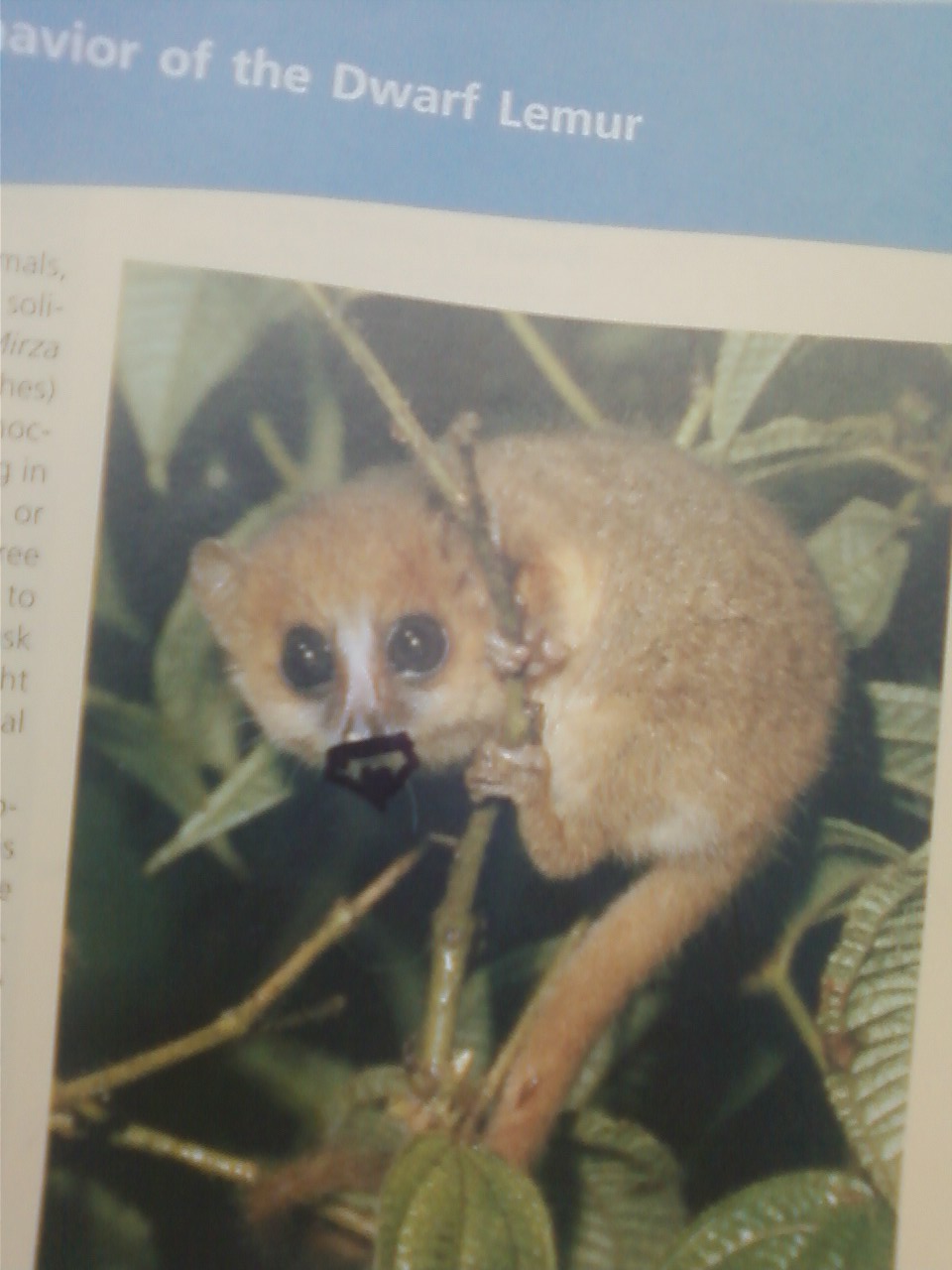 Rogue Demon Hunter: Six Seasons and an Art Show!