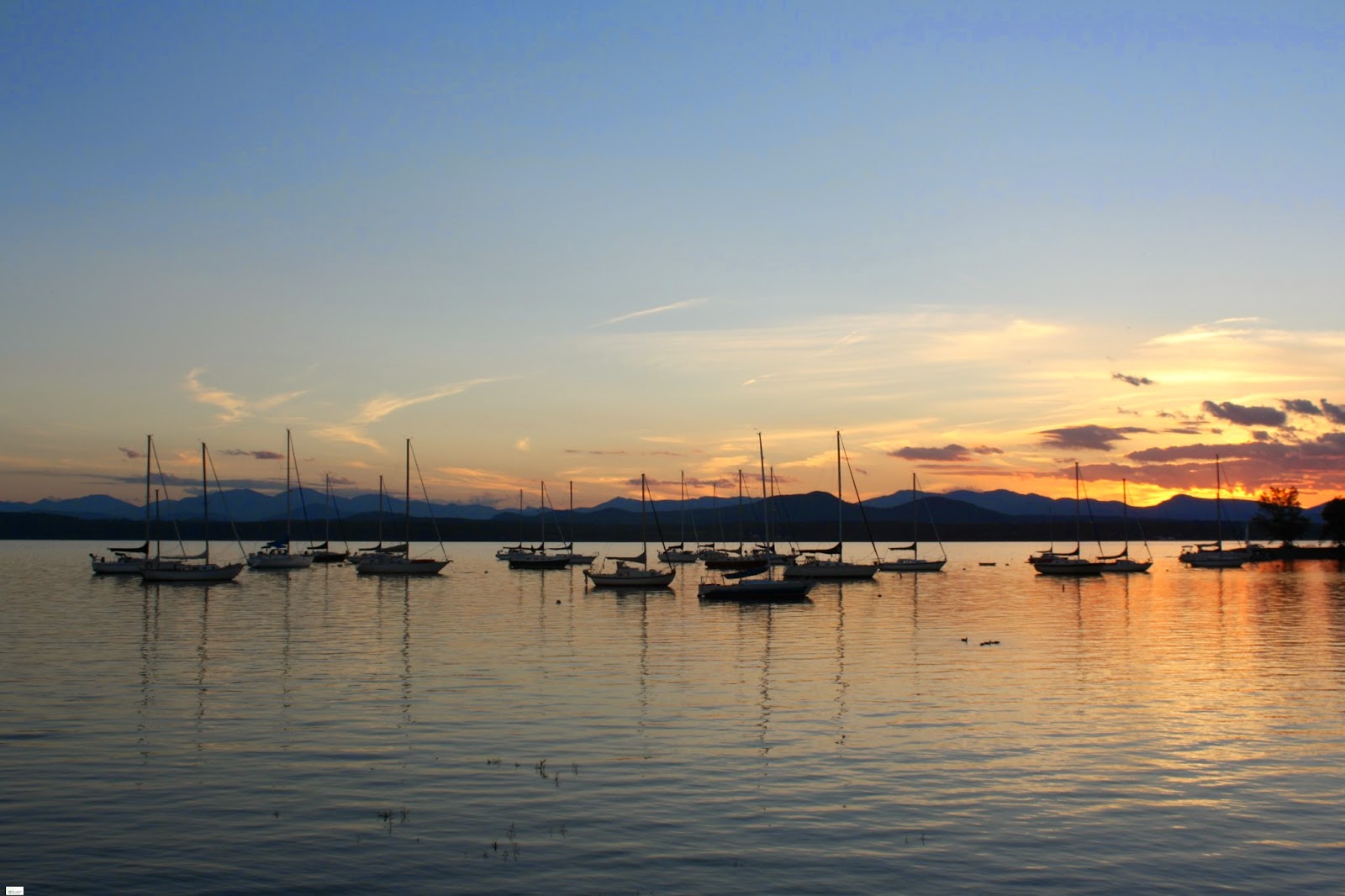 Shelburne, Vermont Sunset | Caravan Sonnet