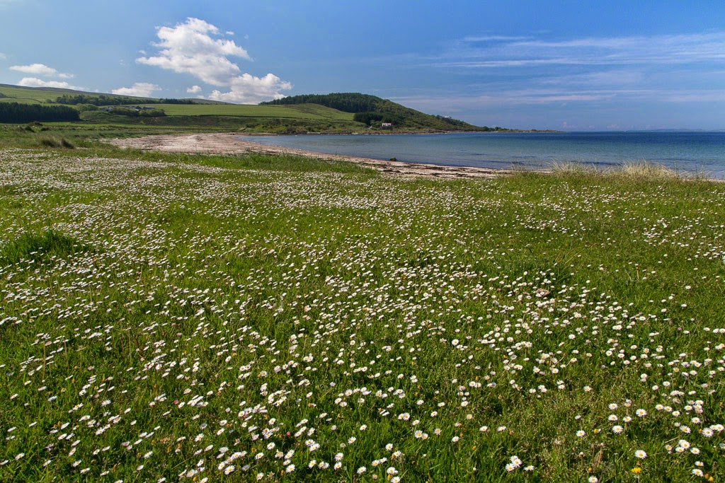Sea kayaking with seakayakphoto.com: Daisies , shells, pottery and a ...