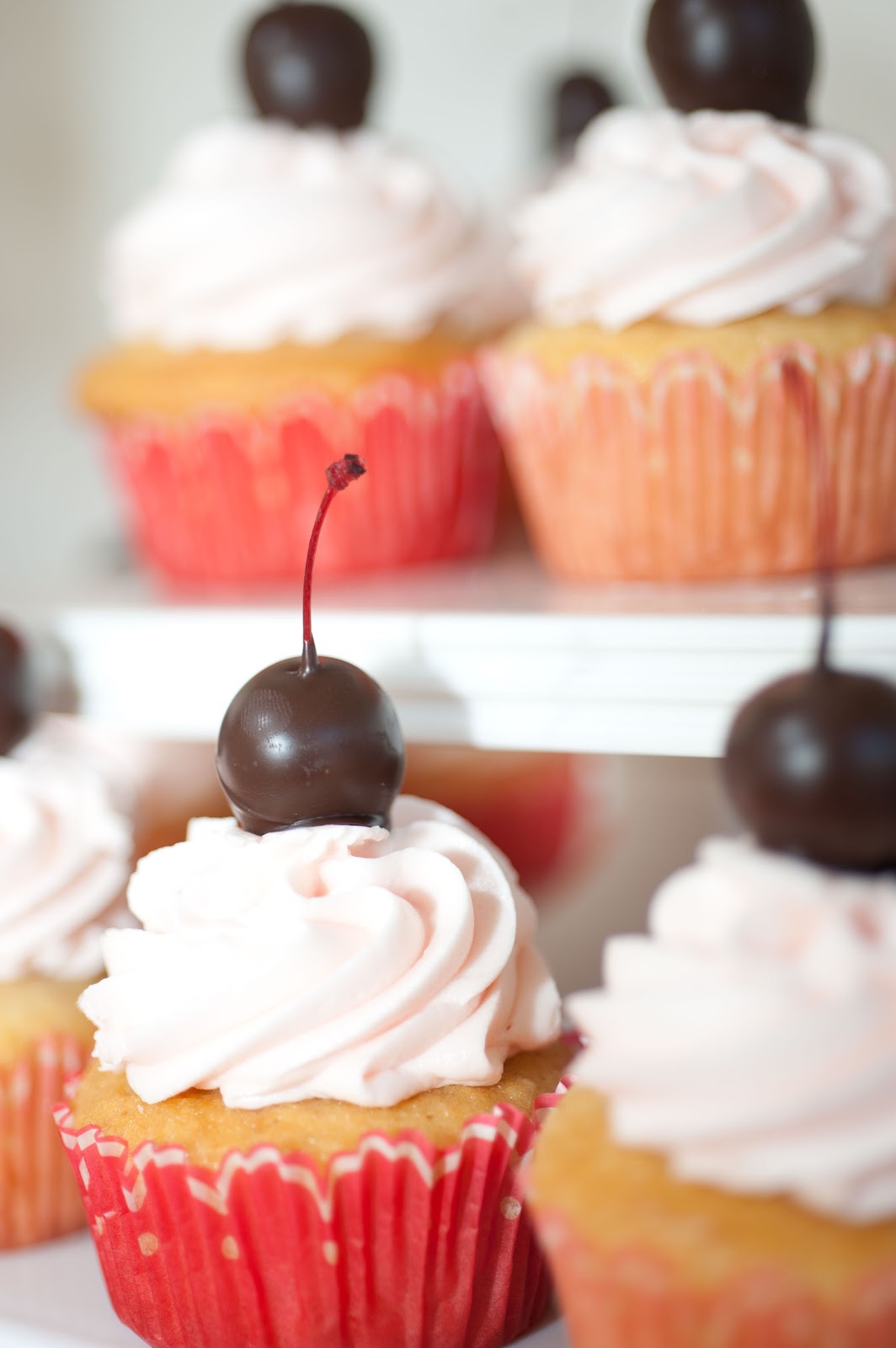 Contact | blue cupcake