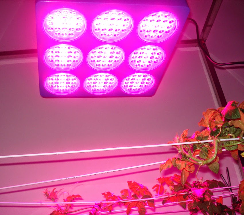 Extreme High Output LED Grow Lights