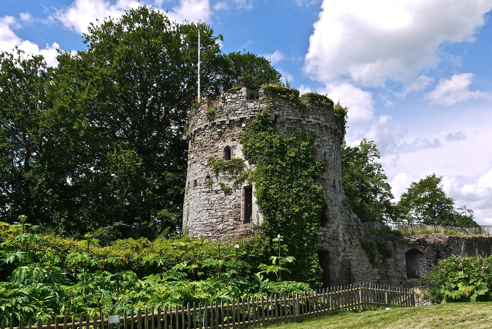 Walking in the country: Usk: Usk Castle and Gwehelog Common