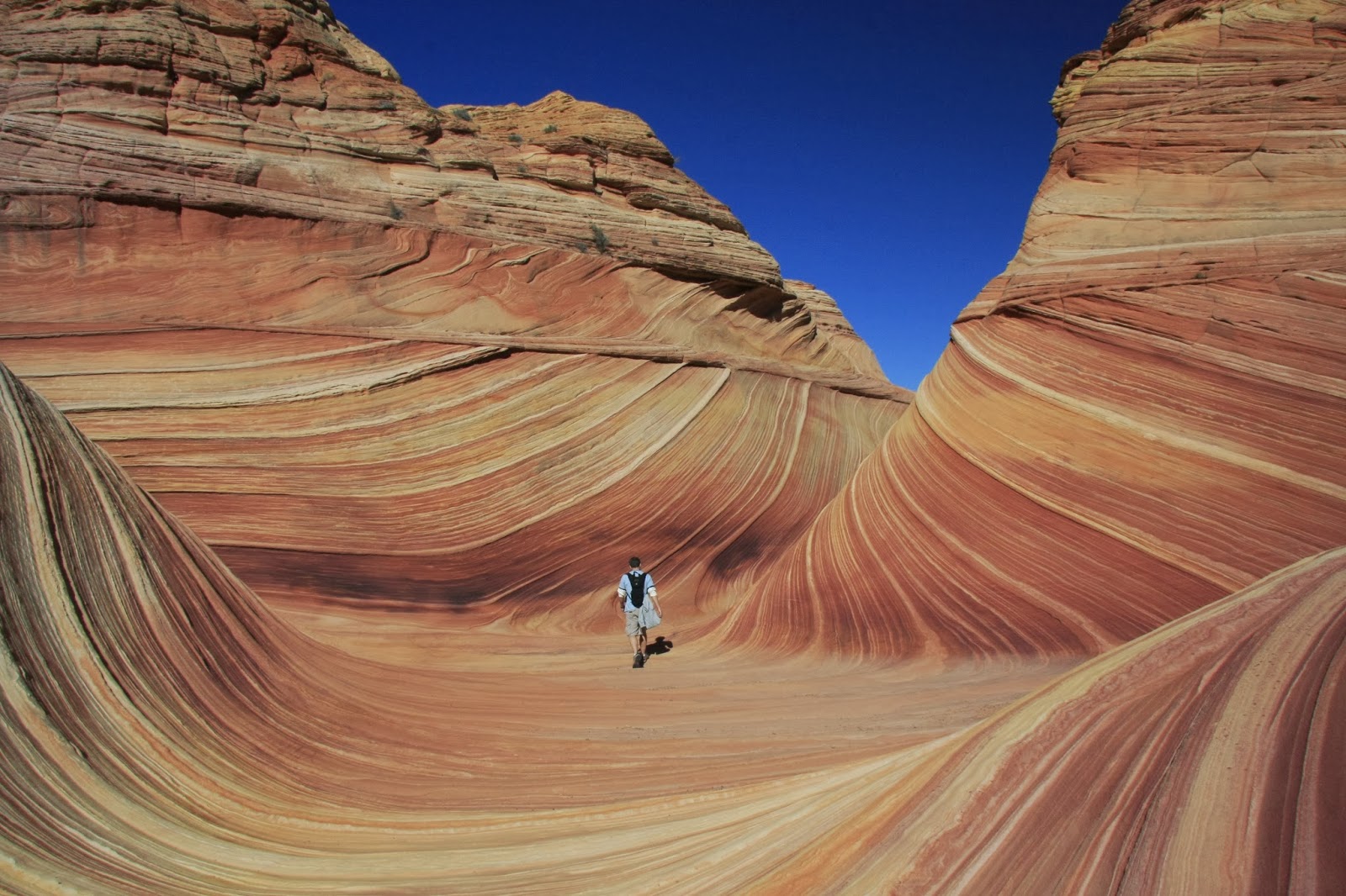 Travel around the world: The Wave, Arizona-U.S.