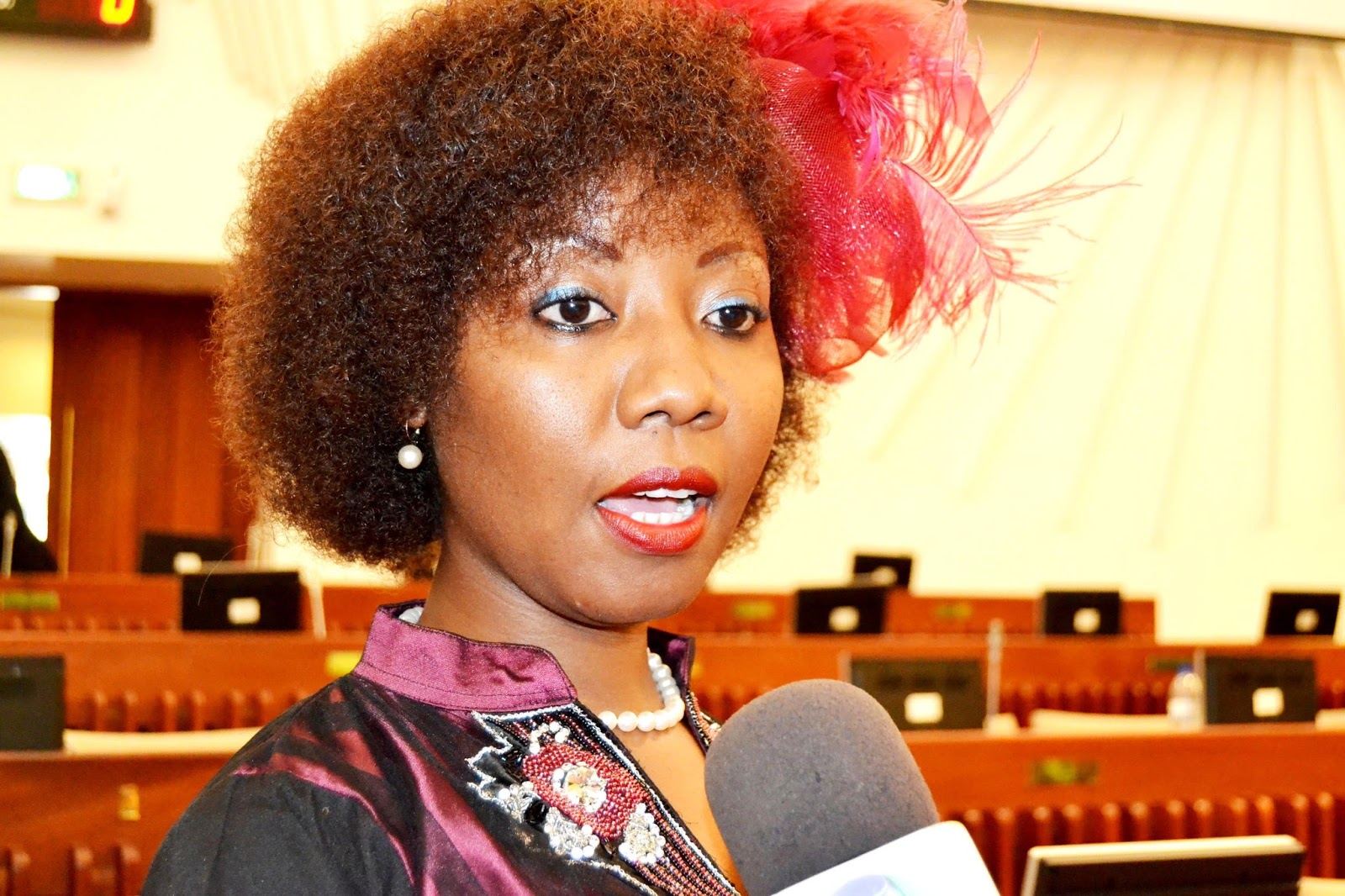 Moçambique Terra Queimada: "PACTO DE NÃO AGRESSÃO"