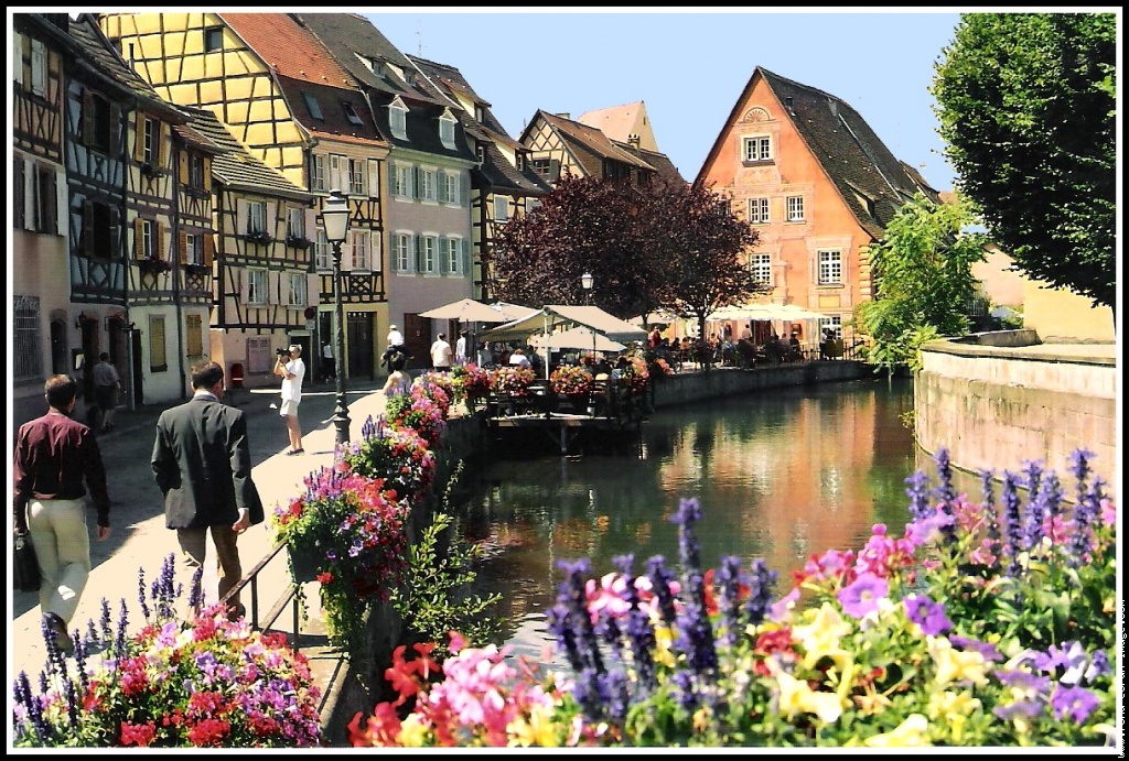 No viviendo en un mundo vivo: Colmar