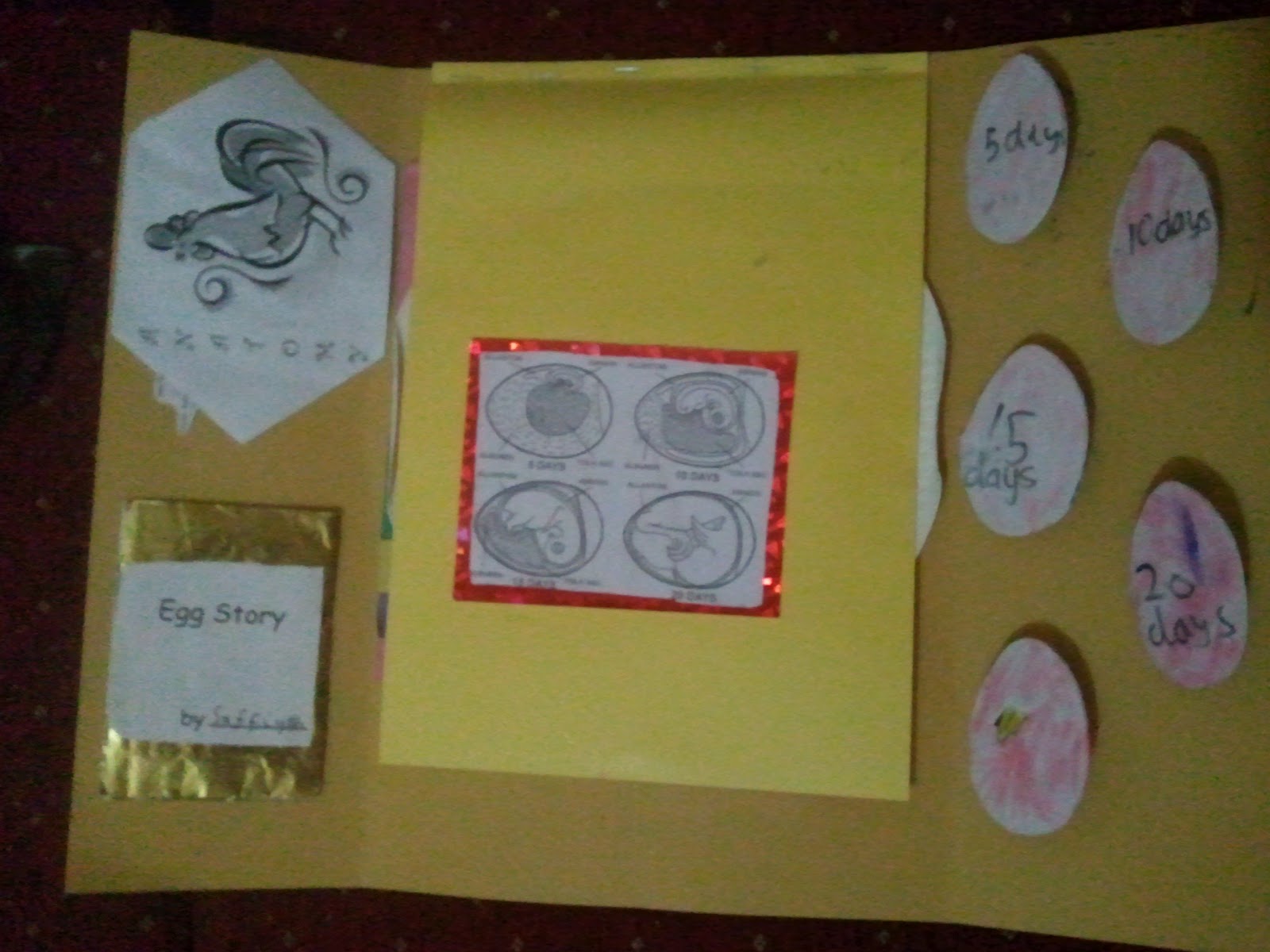 Journey to Self Sufficiency: Chicken lapbook