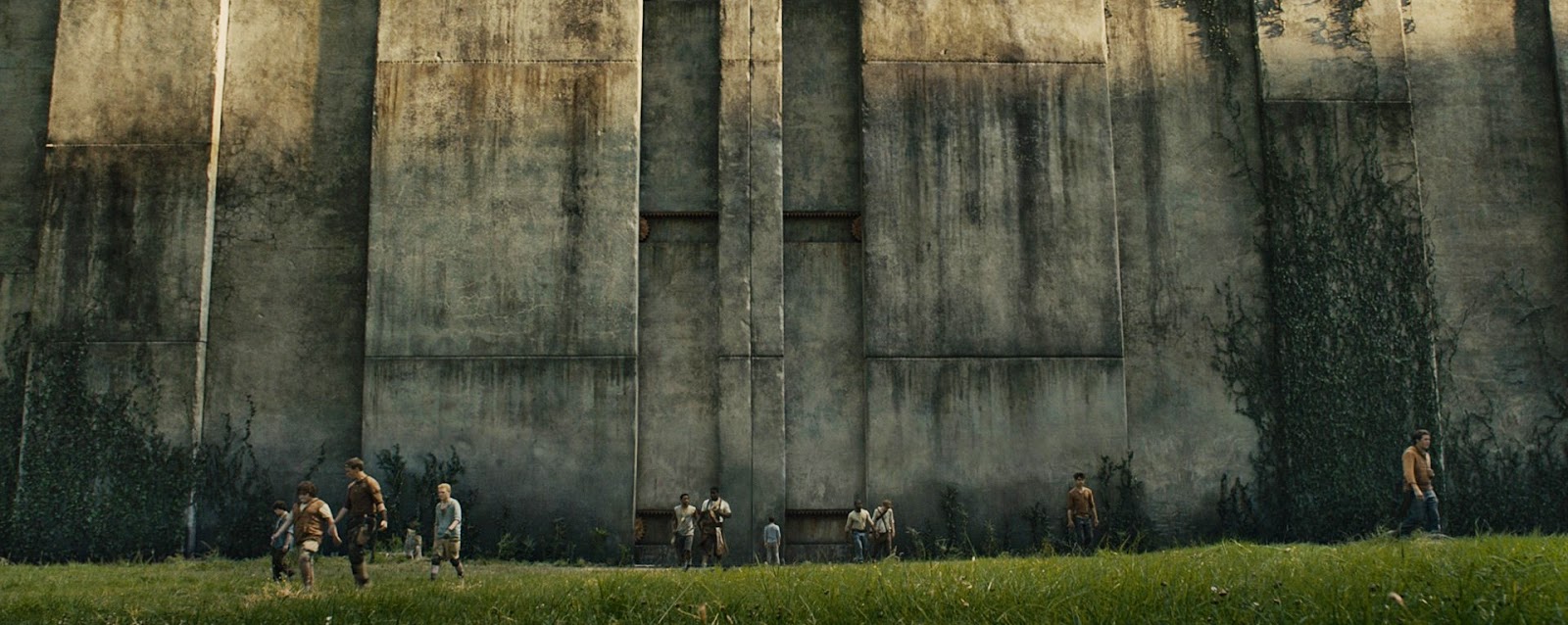 The Maze Runner - Movie Forums