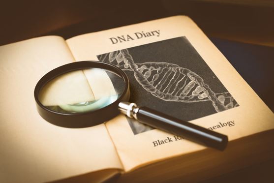 Black Raven Genealogy: A new approach to our DNA results