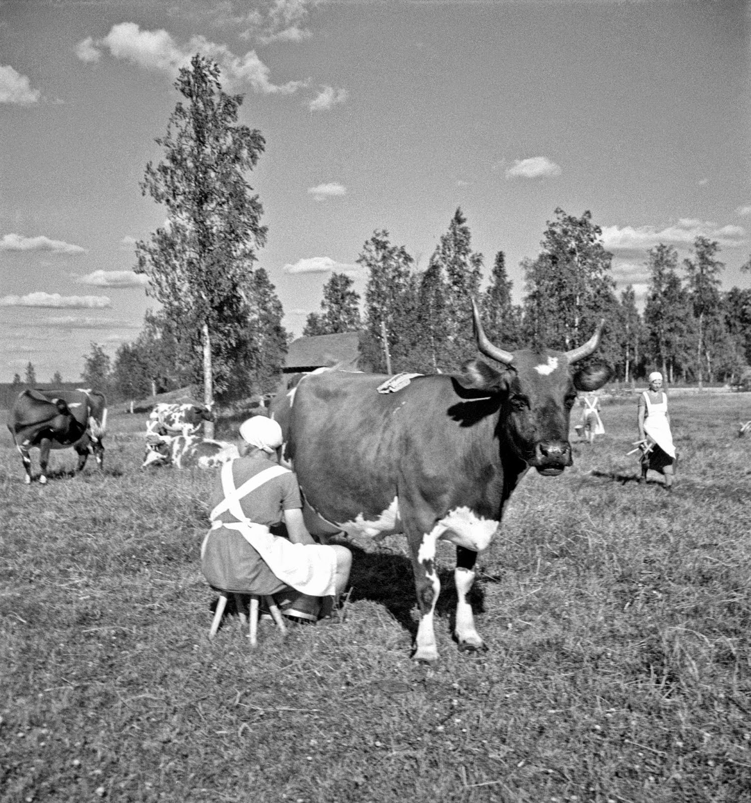 Black and White Photos of Daily Life in Finland in 1941 ~ Vintage Everyday