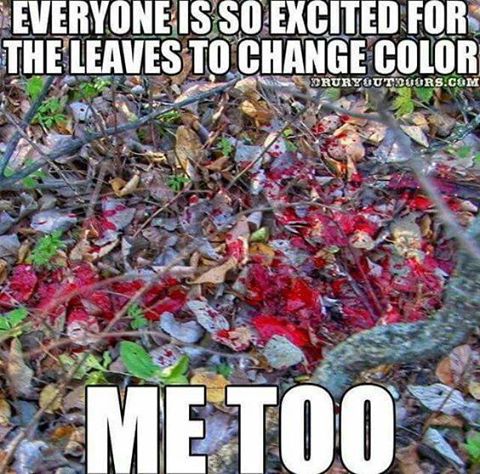 A Dixie Lady Deer Hunter: Leaves Changing Color