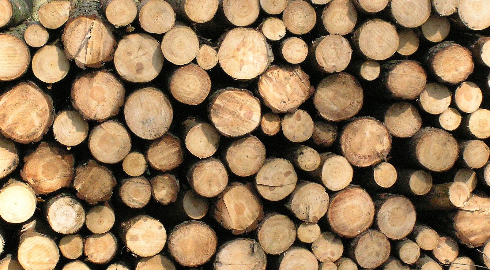 Thư viện 3D: [Mapping] WOOD TEXTURES