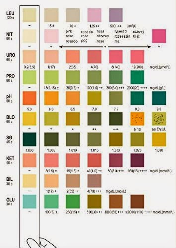 Oma Loves U!: Easy@Home Areta 10 Parameter (10SG) Urinalysis Test Strip ...