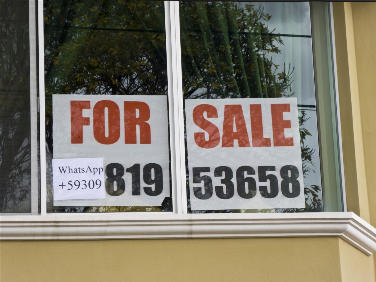 Souvenir Photo Studio, by Al Bourassa: Monday April 23, 2018 Housebound