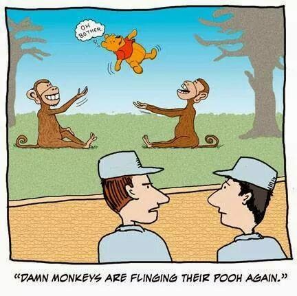 The Zoo Review: Zoo Joke: Monkey Pooh