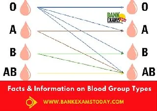 Facts & Information on Blood Group Types (PDF Version) - BankExamsToday