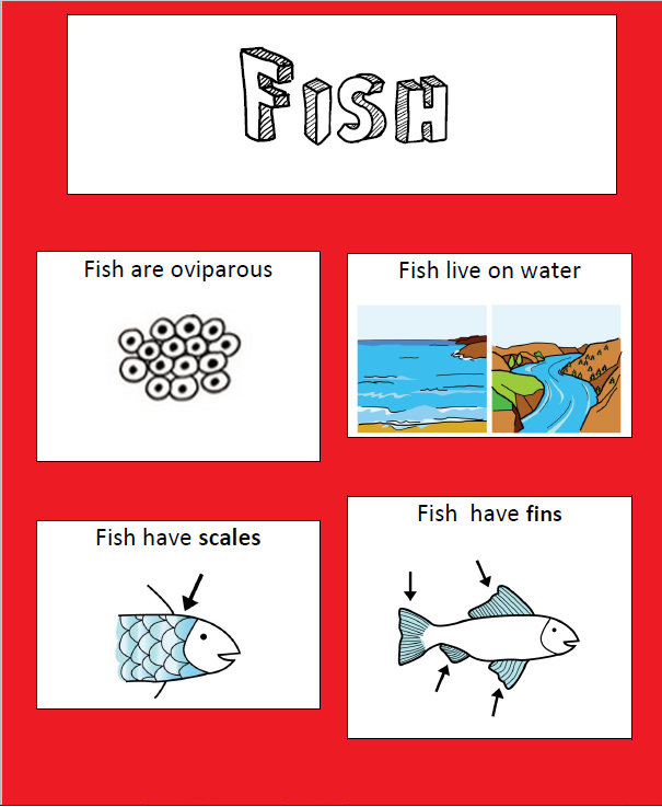 Learning together : FISH