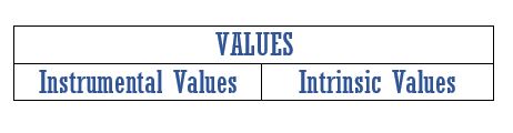 VIDYA'S PHOENIX: FOUNDATION OF EDUCATION ::CLASSIFICATION OF VALUES ...