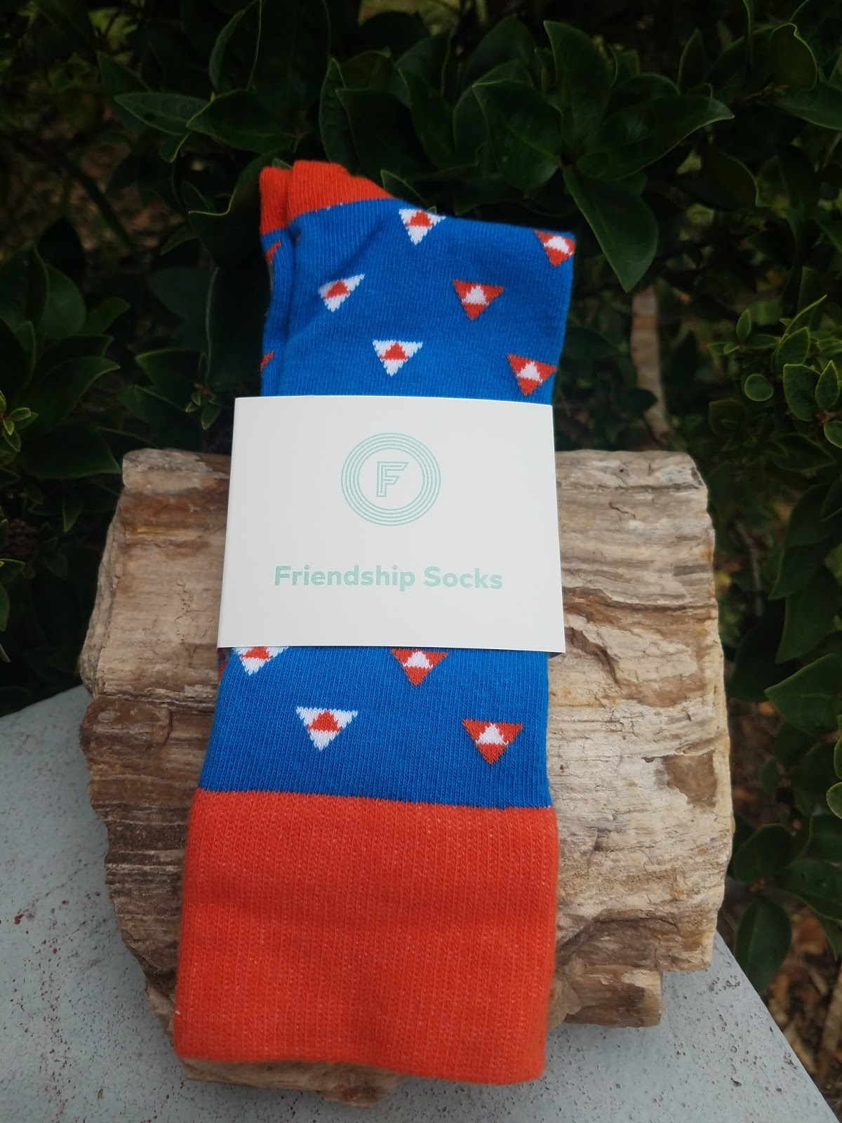 The ABCD Diaries: Holiday Gift Guide: Share the Love with Friendship Socks!