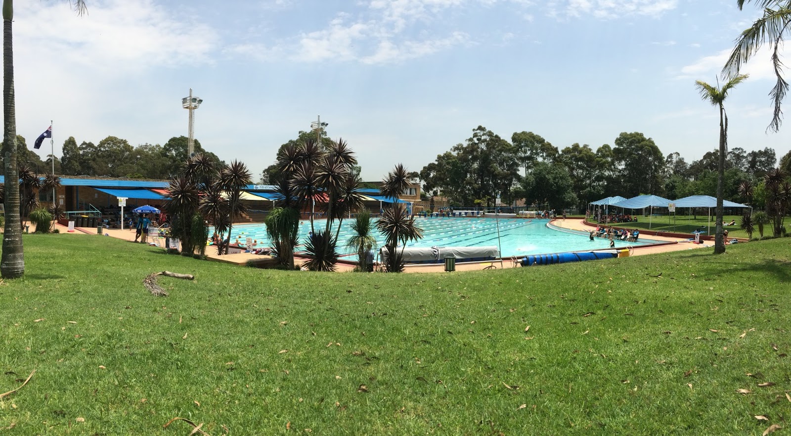 Swimming: Roselands Aquatic centre