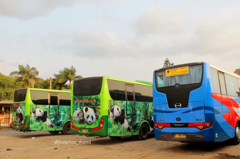 Kumpulan Foto Bis Restu Panda Arjosari Malang | Blognya Busmania