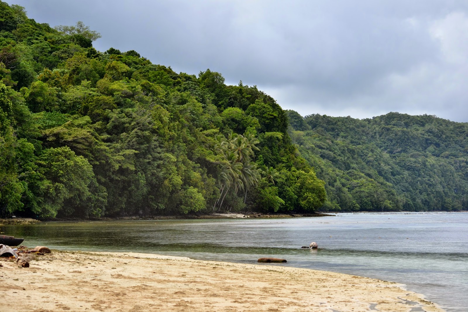 Worldbirder: The WPO: Rennell Island.