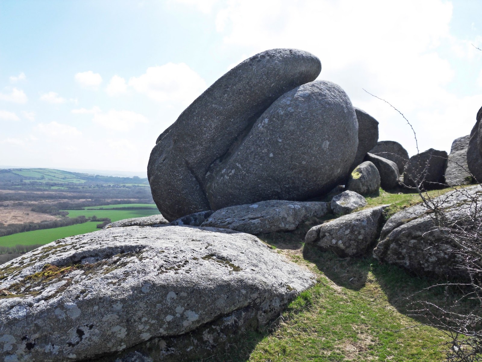 67 Not Out: The Granite Dinosaur And Turtle Guarding Helman Tor Cornwall