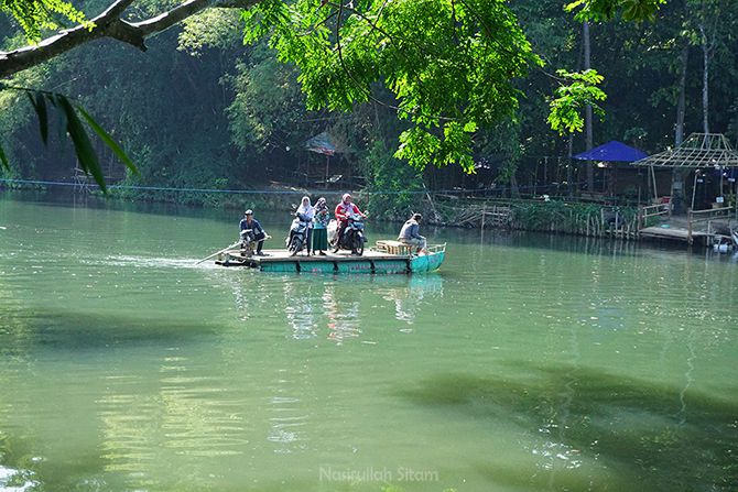 Taman Glugut Bantul, Destinasi Wisata Kebun Bambu di Tepian Sungai Opak ...