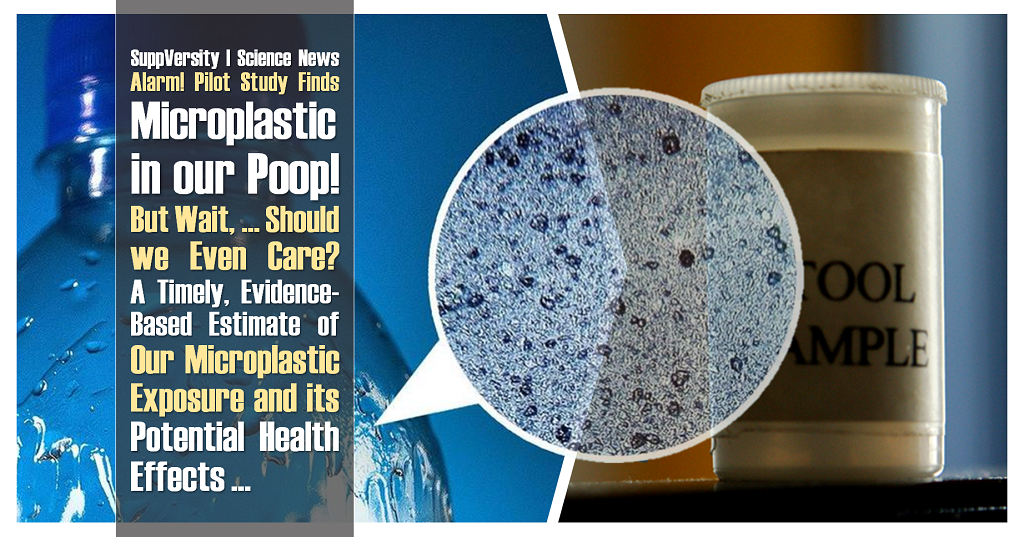 There's Microplastics in Our Poop! Wait! Do We Even Care? An Evidence ...