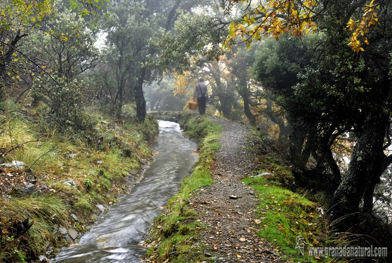 Cajón de actividades: Las acequias alpujarreñas