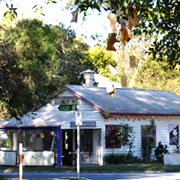 Eudlo Seed Savers Group: Seedy Sunday Workshop