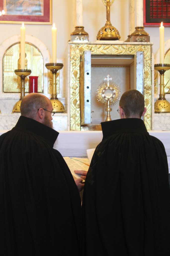 Transalpine Redemptorists at home: Professions