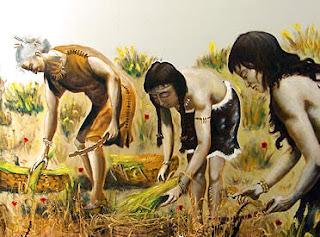 Ciencia, Tecnología, Sociedad y valores.: Comunidad primitiva.