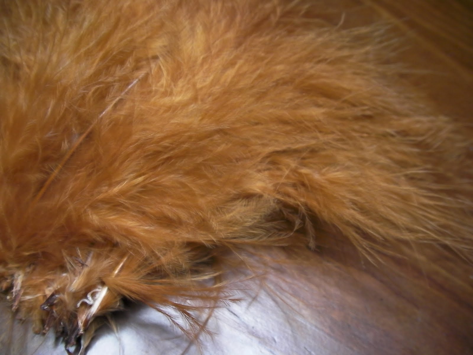 Fly Tying Videos: How to Tie Flies for Freshwater and Saltwater: How to ...