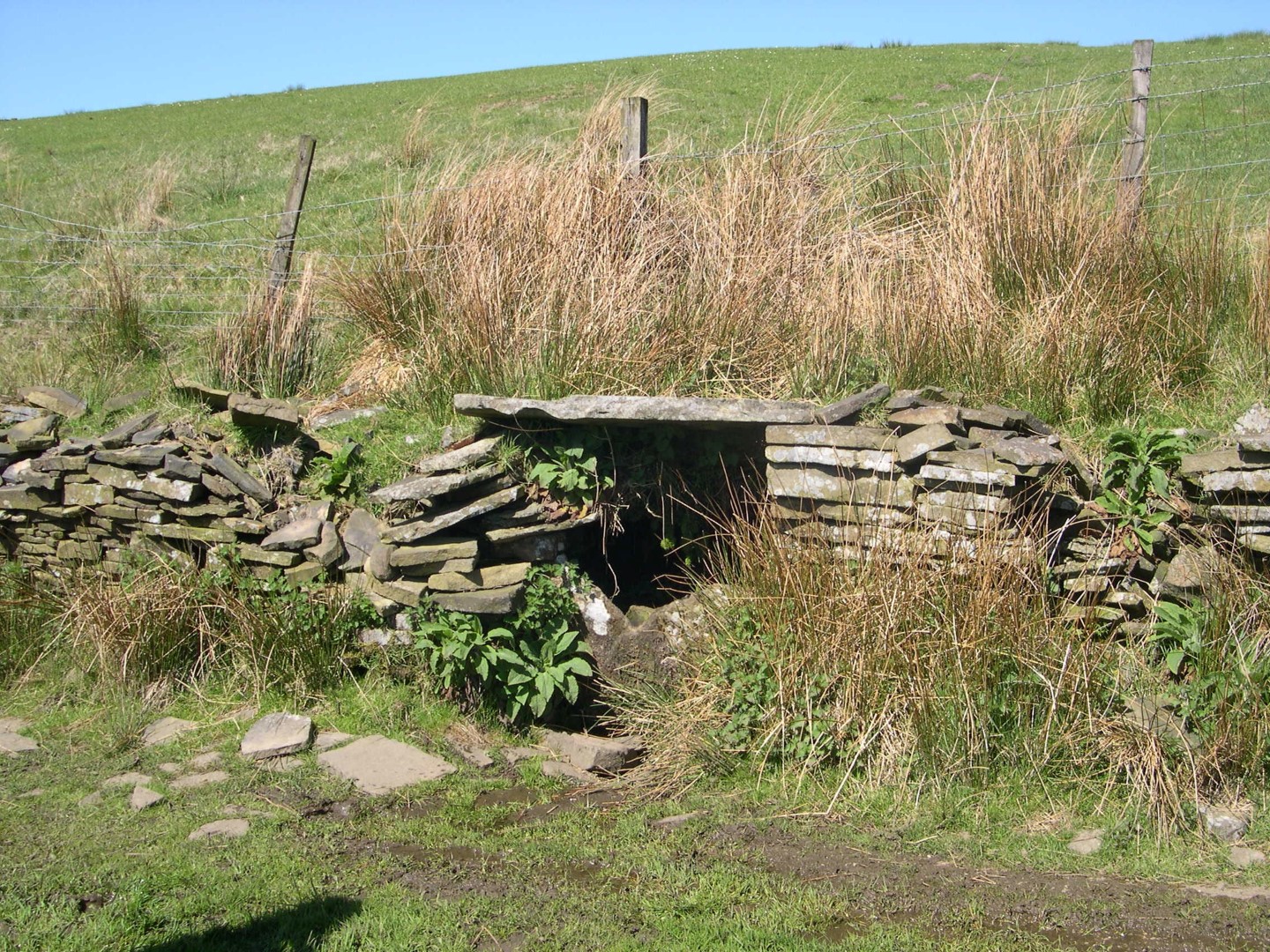 Haslingden Old and New...: Historic Water Troughs, Spring Fed Wells and ...