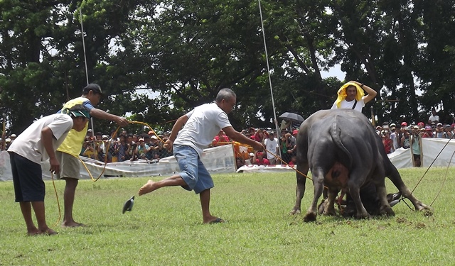 mybeautifulILOILO: Celebrating History and Culture with San Joaquin’s ...