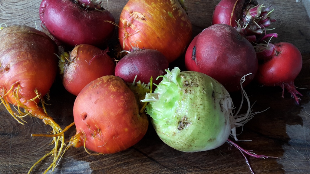 An English Homestead: Interesting Beets