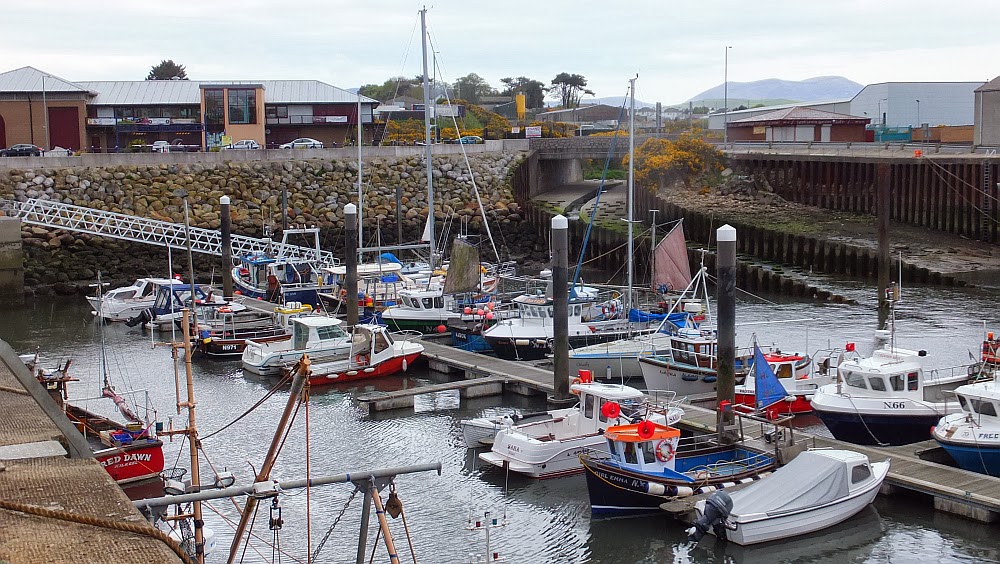Irish Wildscapes: Around Kilkeel Harbour