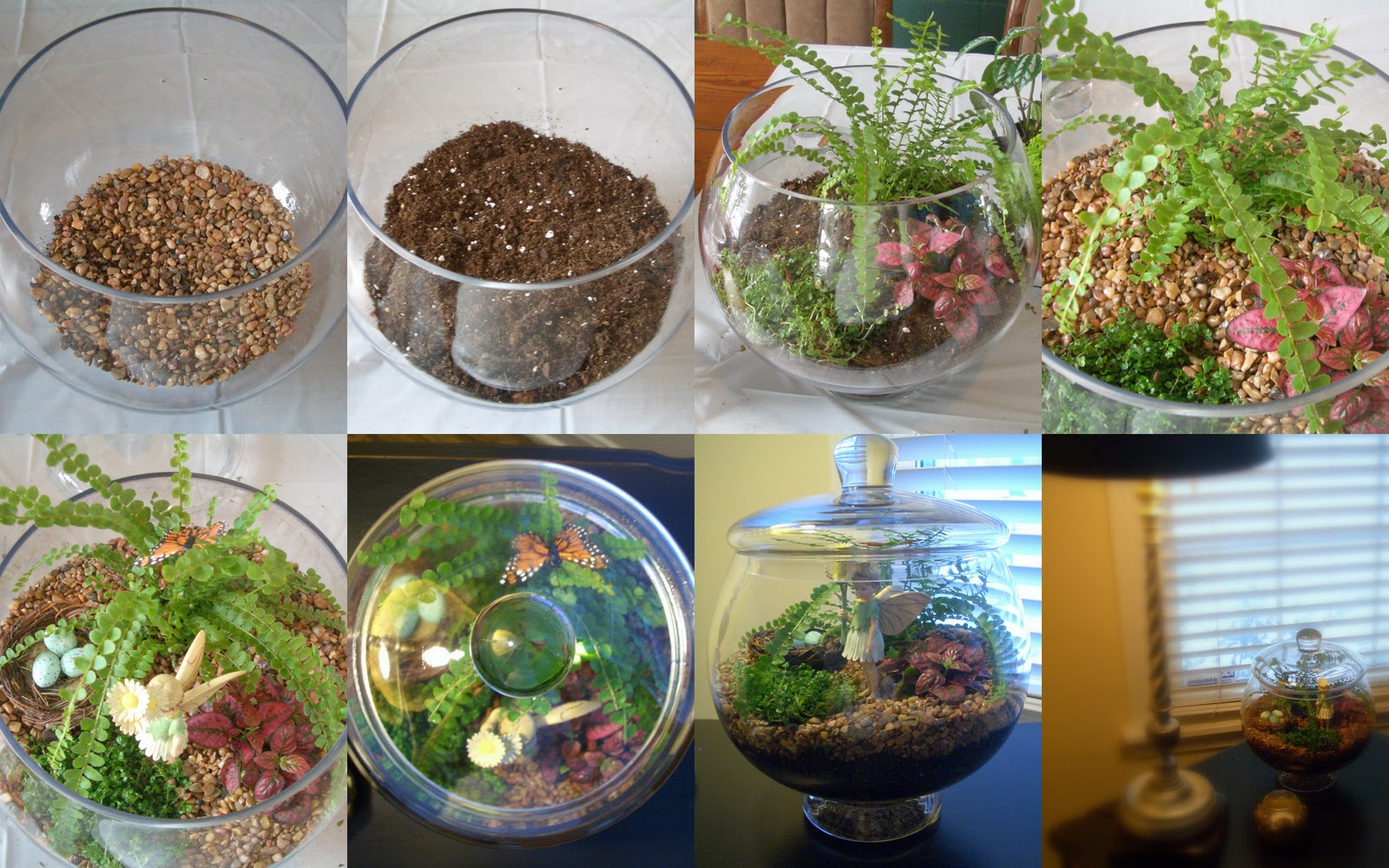 Cool Home Creations: Bring in the Outdoors: Terrarium (Second Edition)