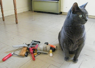 IP Translator - you haven't heard the last of it - The IPKat