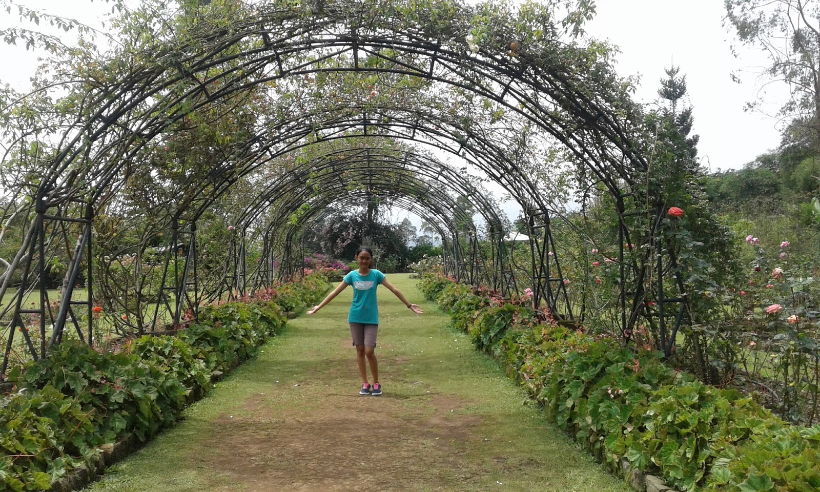 Harga Tiket Kebun Mawar Situhapa | Garutama Tours | Pesan Tiket Tempat ...