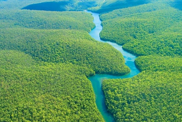 25 Wild Things About The Amazon That Make It One Of The Most Unique ...