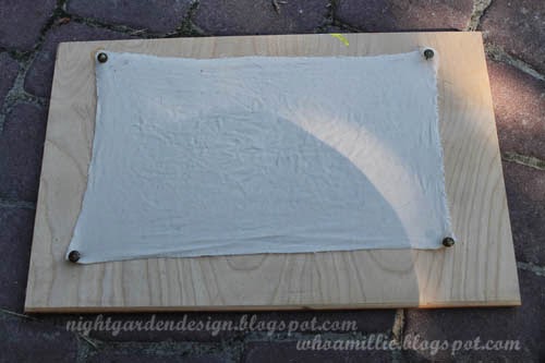 Night Garden Blog: sun printing on fabric (seriously the best surface ...