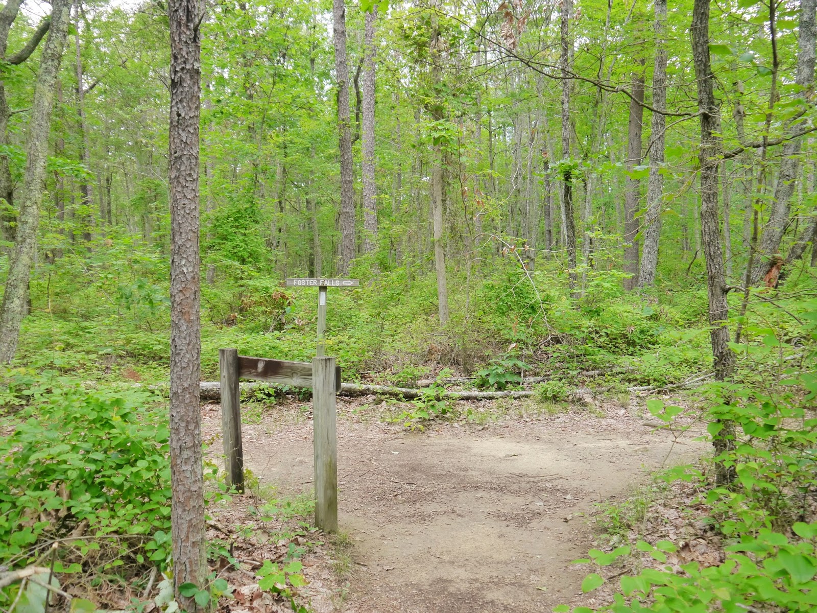 American Travel Journal: Climbers Loop Trail at Foster Falls - South ...