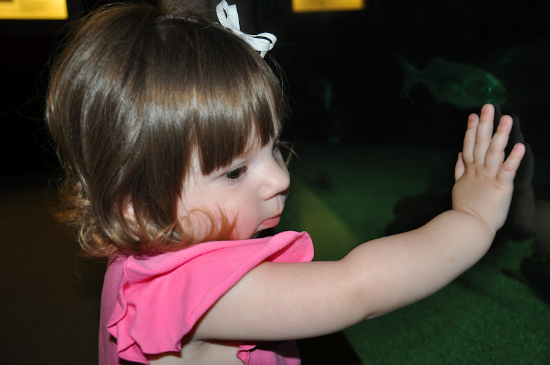 Another Great Weekend!