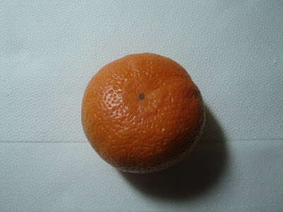 BLOG CLOROFILA: Fruto: Hesperidio.