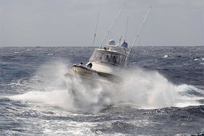 French Vocabulary Illustrated: roulis