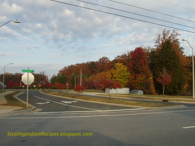 Sizzling Indian Recipes.....: An Autumn Day drive from Raleigh to Cary ...