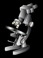 Fun With Microbiology (What's Buggin' You?): 2015