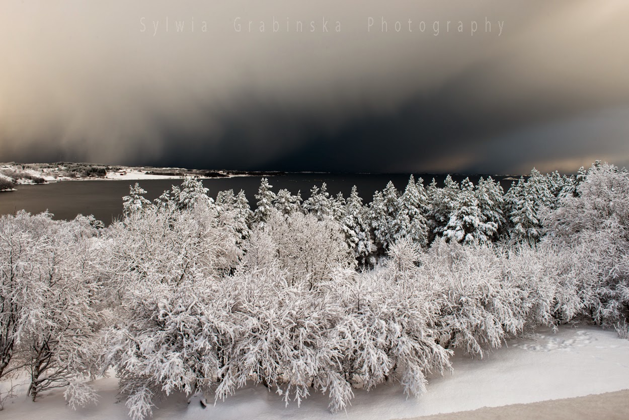 Ja i Moja Pasja: Piekna Zima !!!/ Youhooooo Winter!!! / Vacker winter
